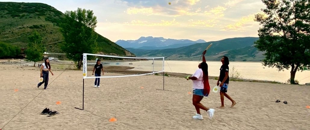 SandyPickle.com - Pickleball Modified For The Beach, Park and Yard